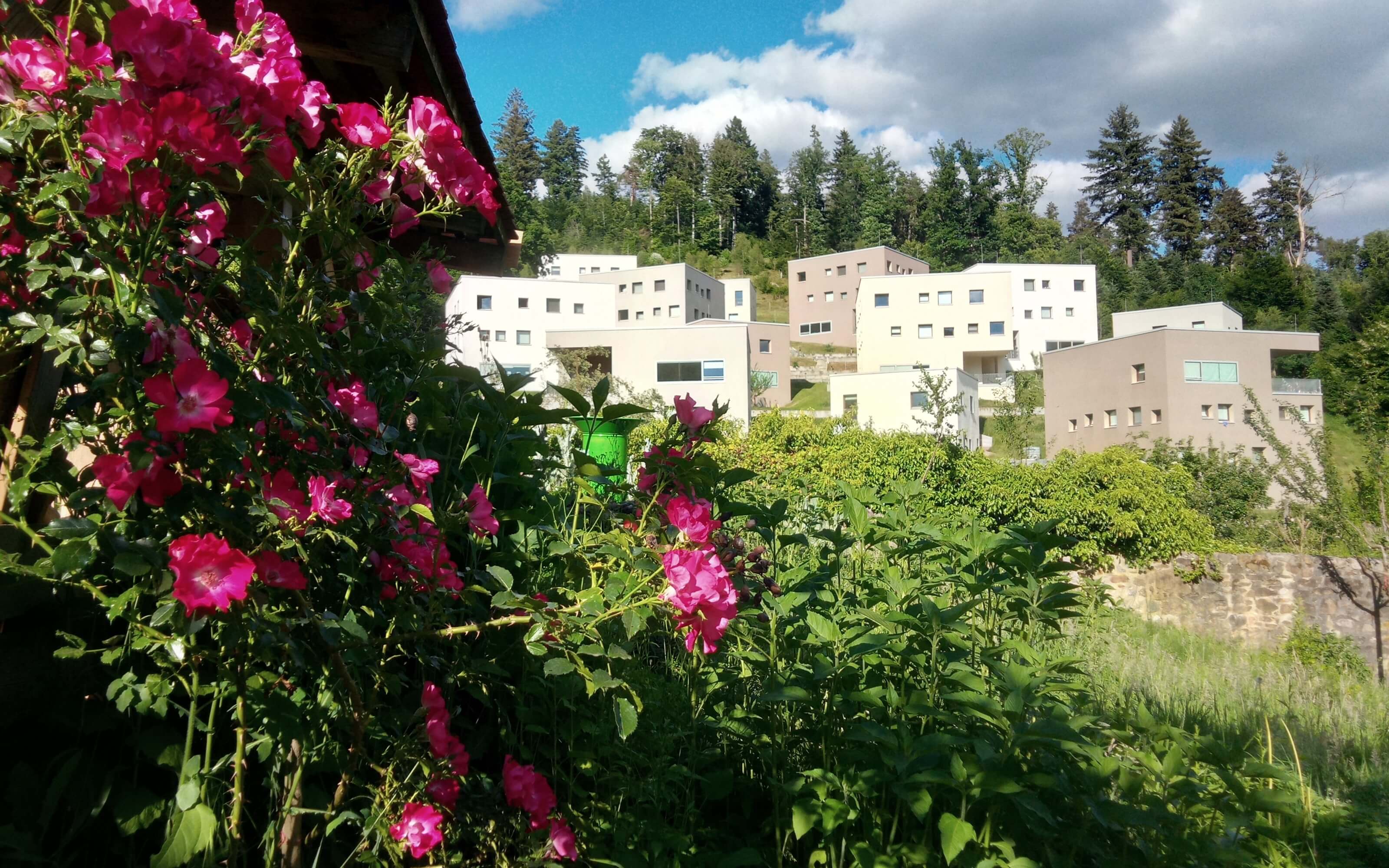 UWC Robert Bosch College - UWC Sustainability