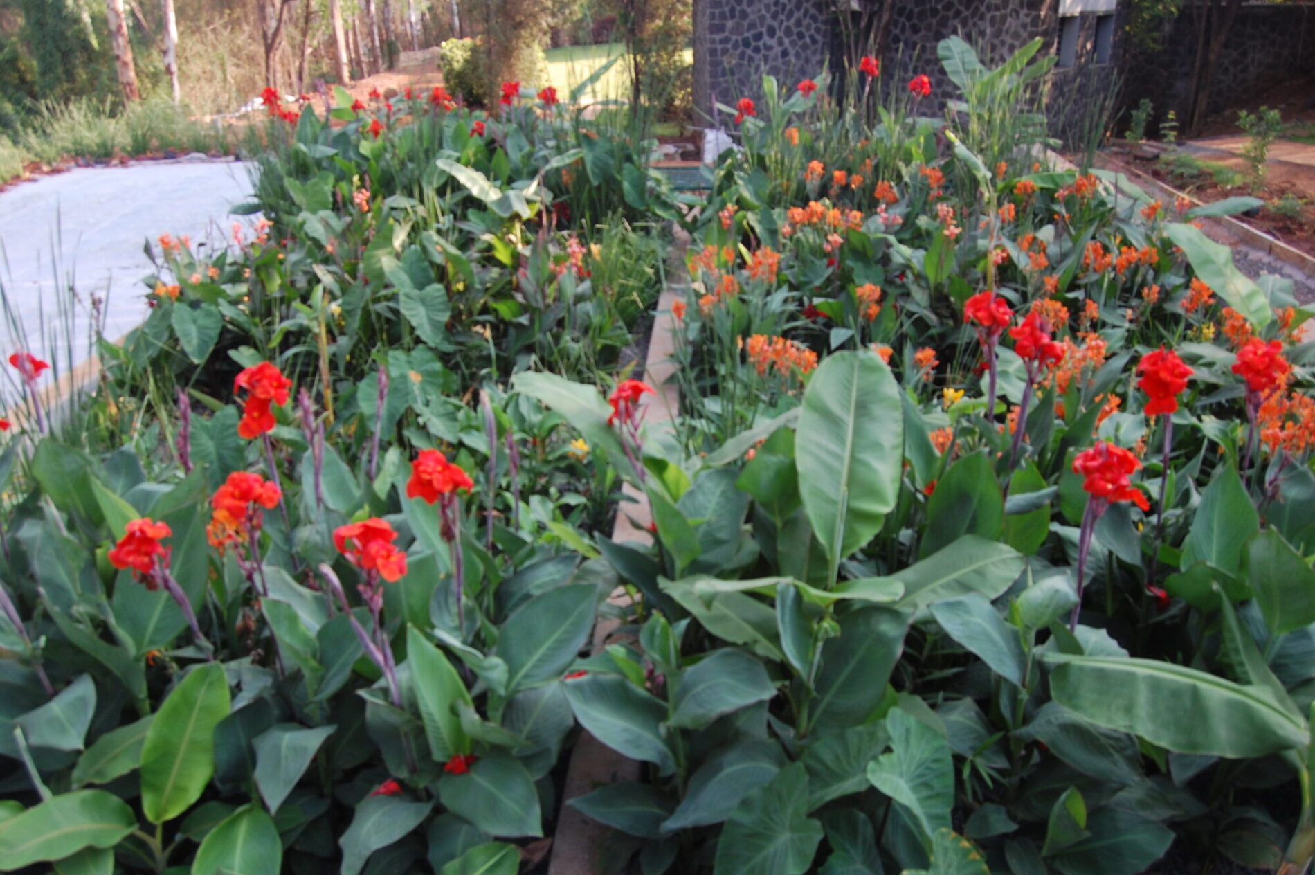 Ecological Sewage Treatment Plant - UWC Sustainability