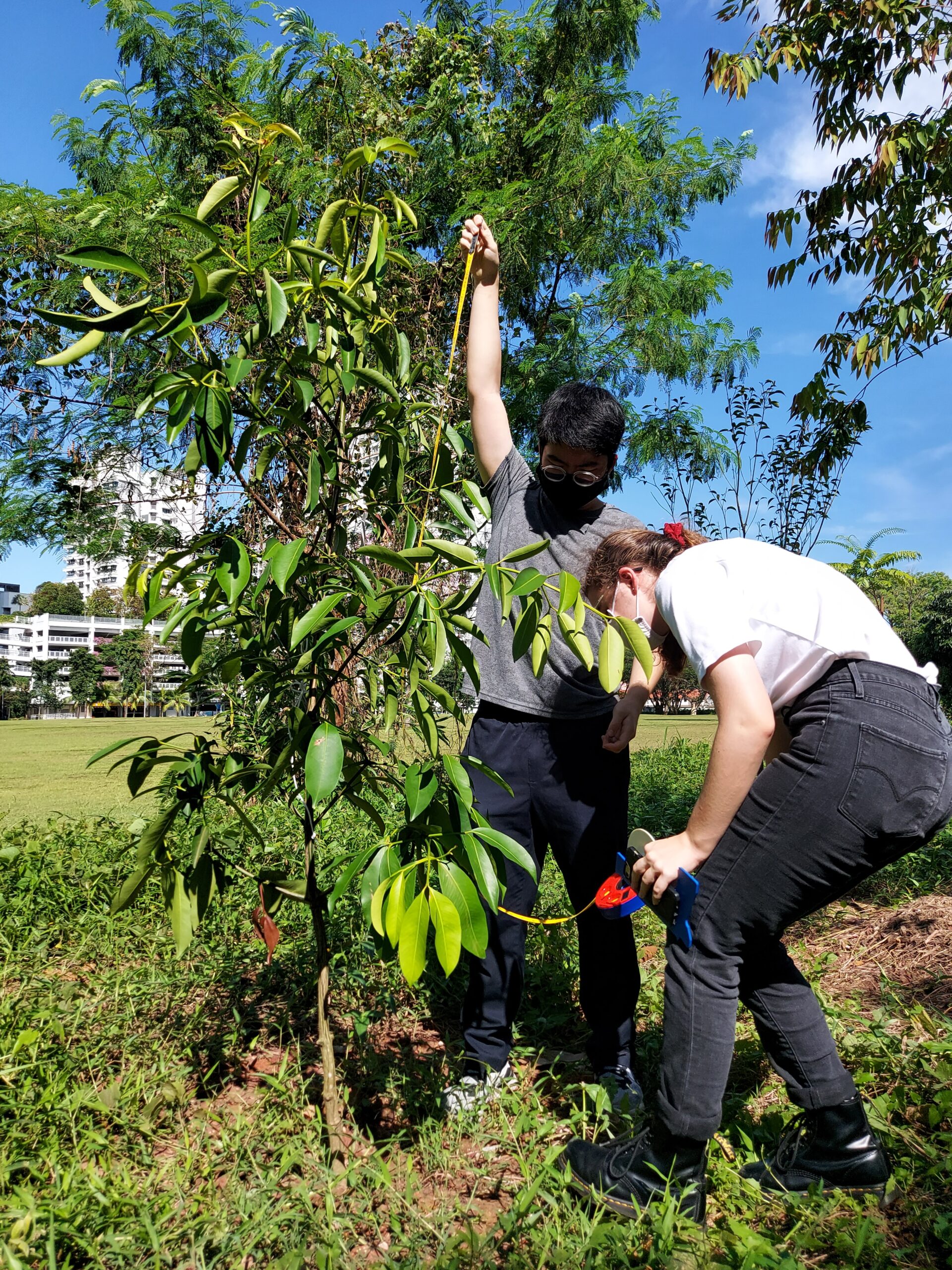 Rainforest Restoration Project - UWC Sustainability