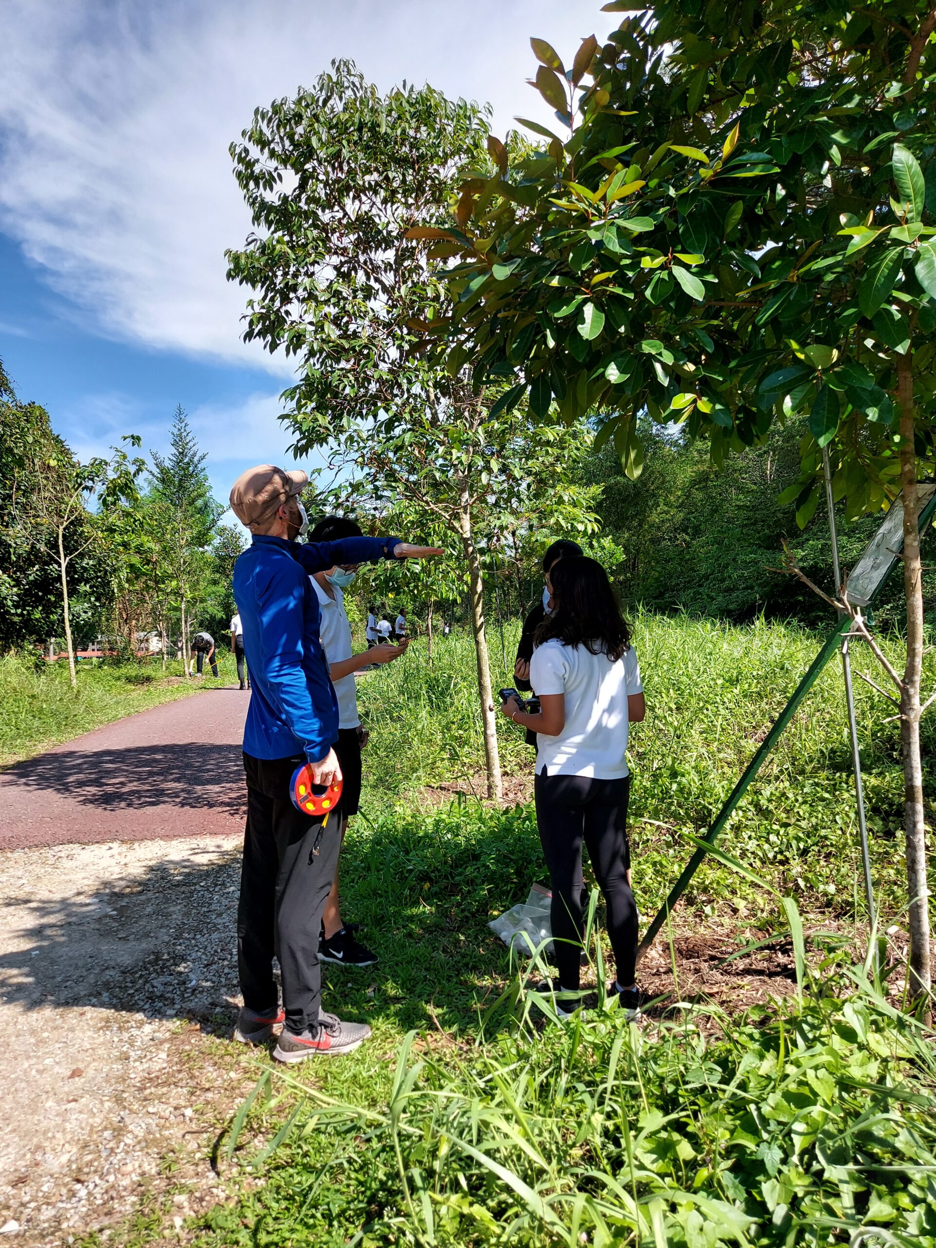 Rainforest Restoration Project - UWC Sustainability