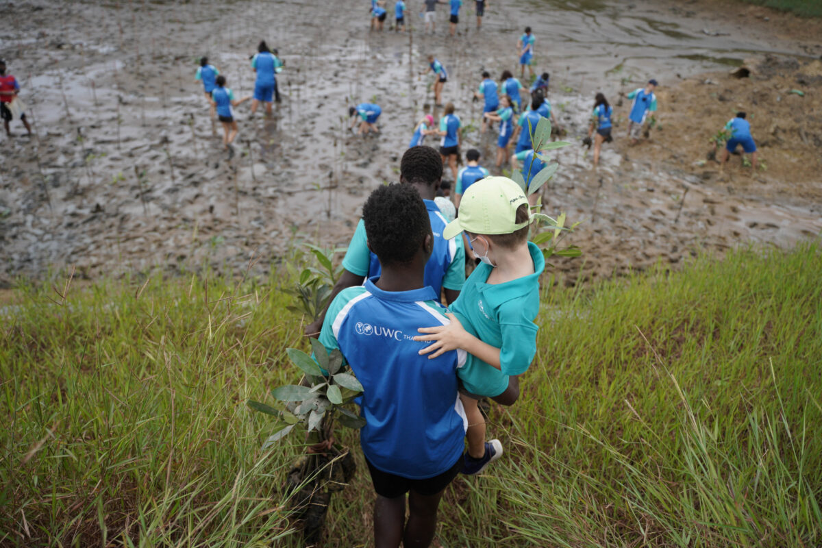 Mangrove Reforestation Project - UWC Sustainability