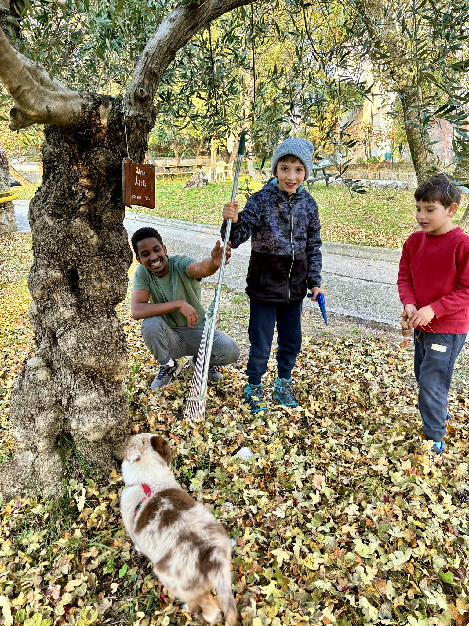 Bulb planting activity - a symbol of the fight for human rights - UWC ...